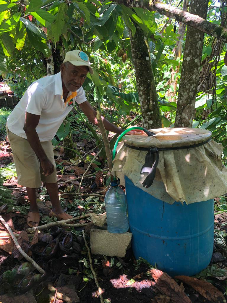Cacao Forest technicians teach REP producers how to make organic ...